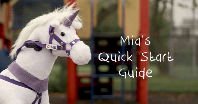 Power Pony Quick Start Guide - Setup, Assembly & App Integration